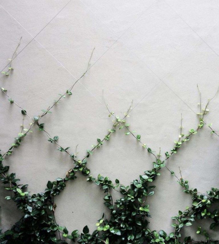 #GreenStyle: Amamos las enredaderas artificiales - Decolovers