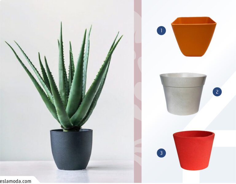 Inspírate con estos 10 maceteros para tus plantas - Decolovers