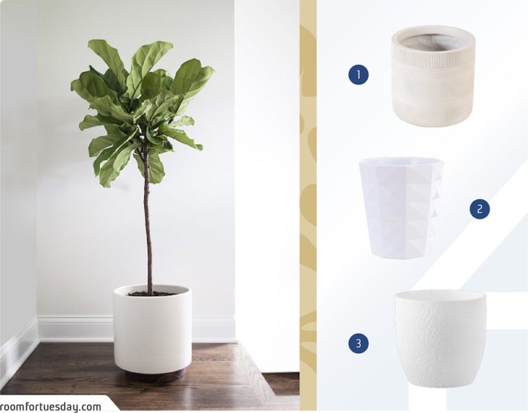 Inspírate con estos 10 maceteros para tus plantas - Decolovers